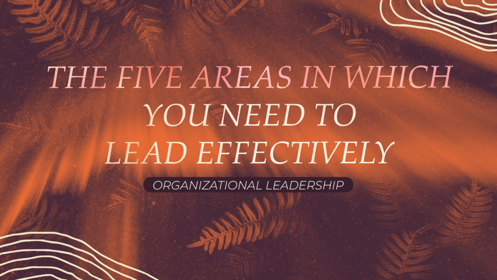 The (Only) Five Areas of an Organization You Need to Lead Effectively ...